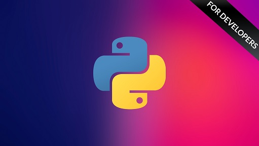 Code with Mosh Python Programming for Developers